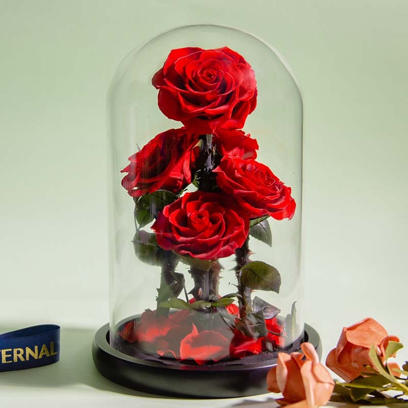 Eternal Preserved Roses In Glass, For Life Rose
